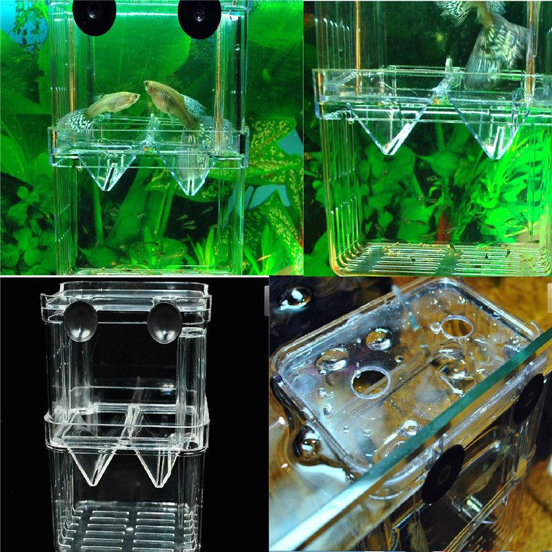 Double-Deck Clear Fish Breeding Isolation Box Aqua... – Vicedeal