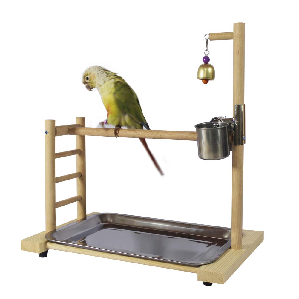 Birdcage Stands Parrot Play Gym Wood Conure Playgr... – Vicedeal