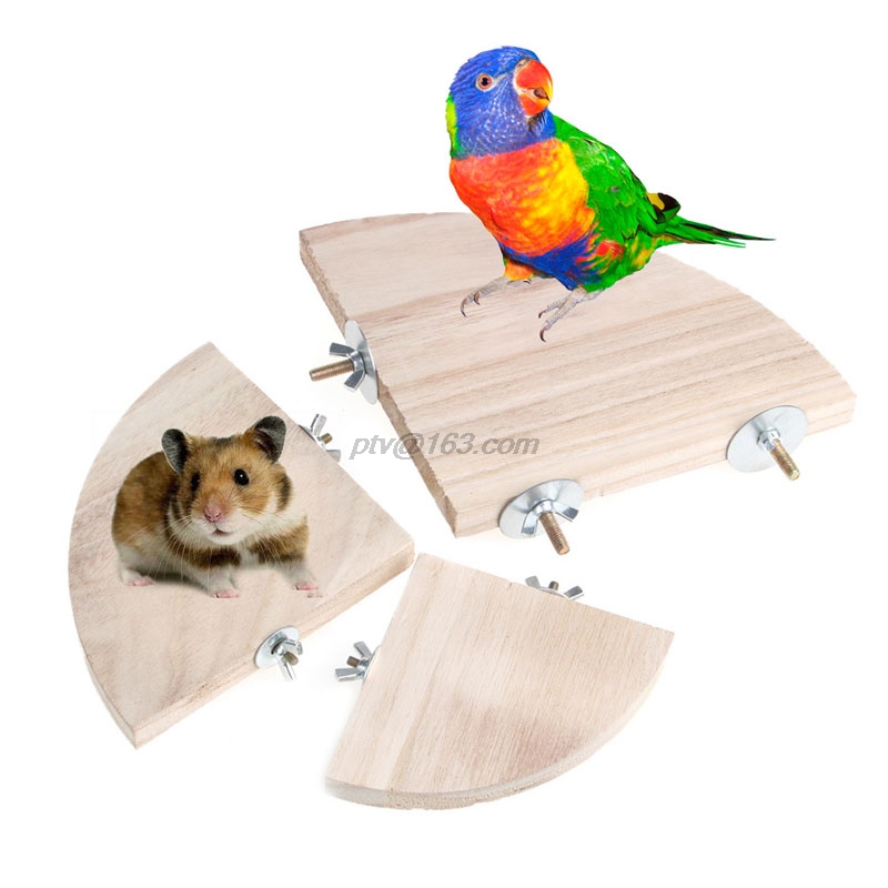 1Pc Pet Bird Parrot Wood Platform Stand Rack Toy H... – Grandado