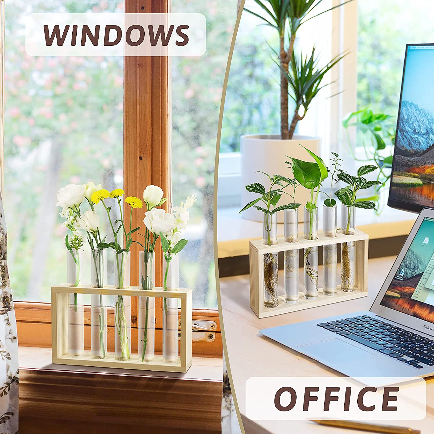 Desktop Glass Flowerpot With Wooden Bracket Propag... – Vicedeal