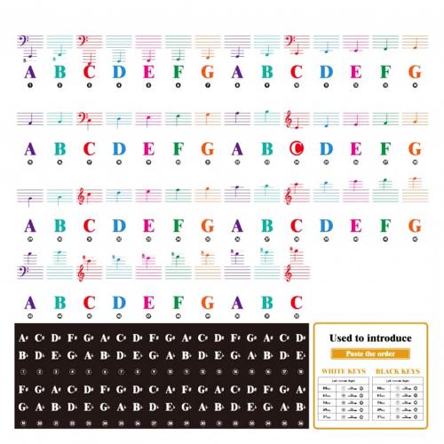 Transparent detachable piano keyboard stickers 49/... – Grandado
