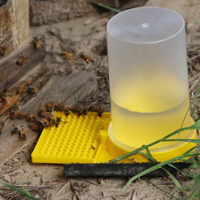 BEETOP 1pcs Plastic Beehive Beekeeper Bee Feeder W... – Grandado