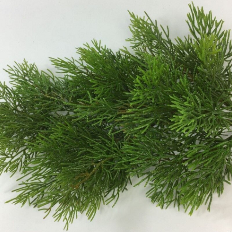 Artificial Green Cypress Tree Leaf Pine Needle Lea... – Grandado