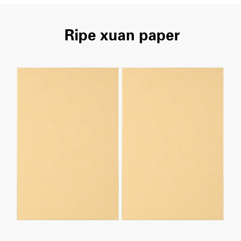 Thicken Xuan Paper Ripe Rice Paper Jam Brush Calli... – Grandado