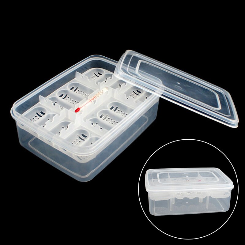 16 Grids Hatch Box Snake Lizard Reptile Egg Tray B... – Vicedeal