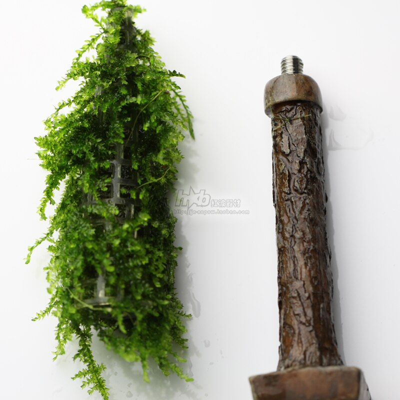 Etb Aquarium Landschapsarchitectuur Moss Kerstboom... – Vicedeal