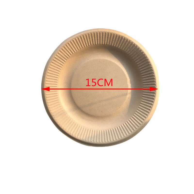 10pcs Disposable Plates Environmental Friendly Dis... – Vicedeal