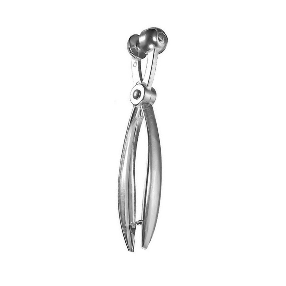 Cherry Pitter Stainless Steel Cherry Pits Remover ... – Grandado