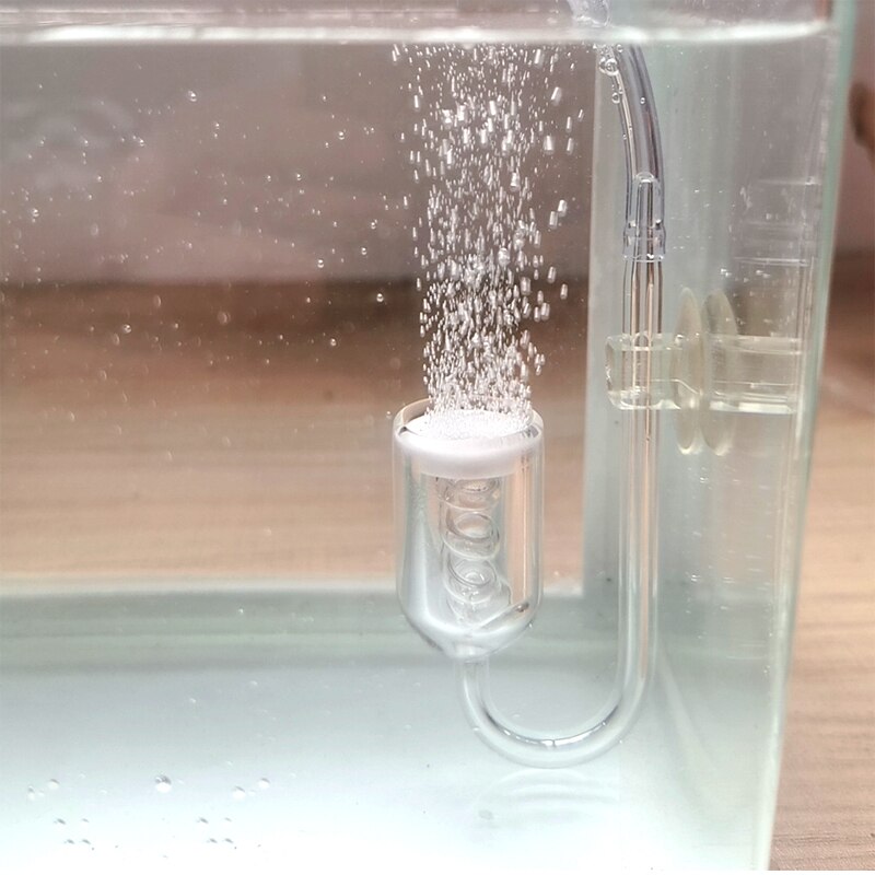 Aquarium CO2 Diffuser Glazen Pot Bubble Verstuiver... – Vicedeal