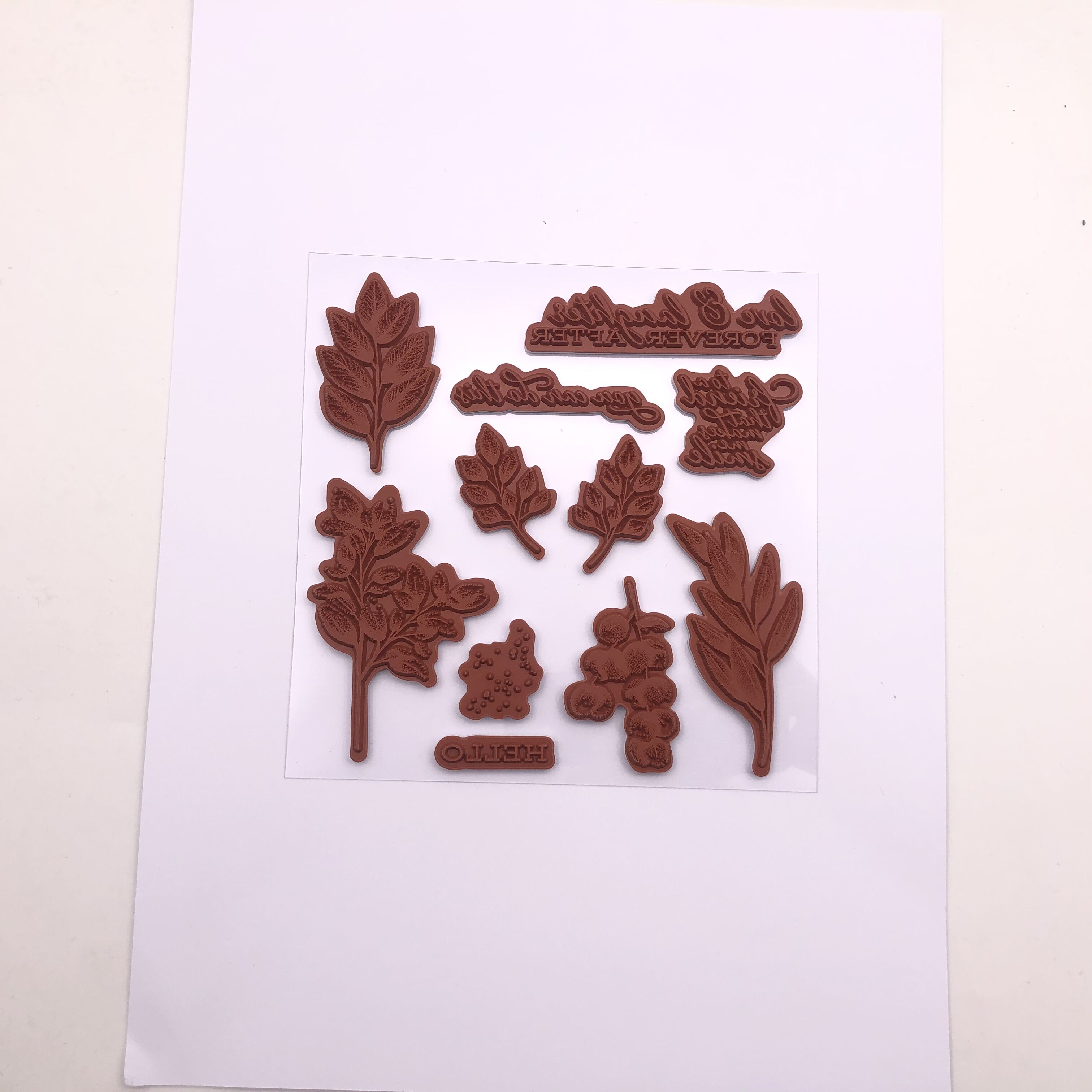 Beautiful Leaves Stamps and Cutting Dies Metal Cut... – Grandado