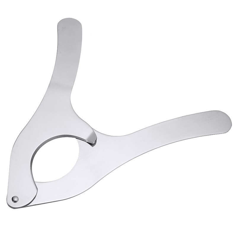 Stainless Steel Sea Urchin Opener Scissors Echinus... – Grandado