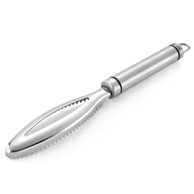 Stainless Steel Fish Scale Scraping Grater Fast Re... – Grandado