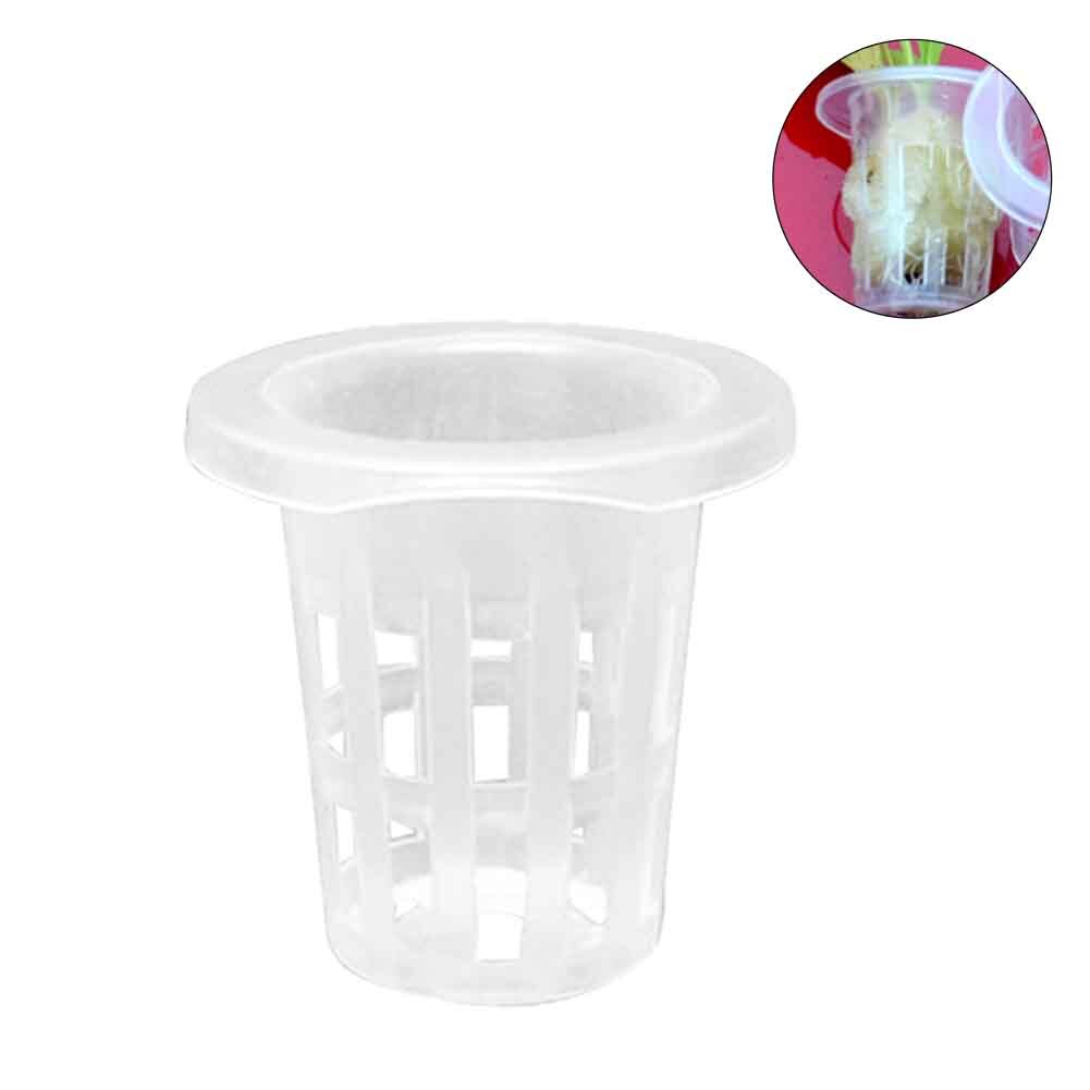 50 st hydroponisk kopp slitsad hem soilless odling... – Grandado