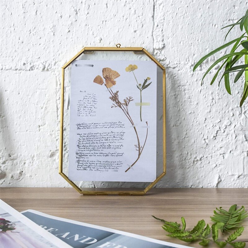 Wall-Mounted Octagonal Herb Museum Brass Glass Fra... – Grandado