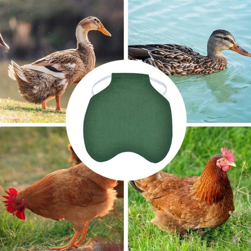 Adjustable Pet Hen Duck Clothes Hen Apron Poultry ... – Grandado