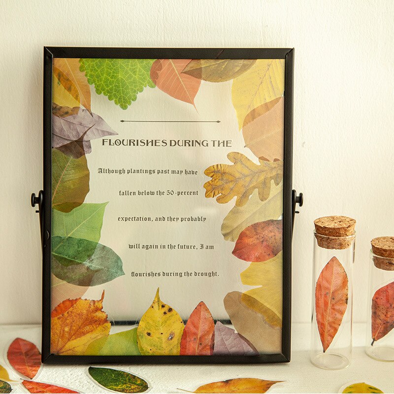 30 Sheets/pack Fallen Leaves Washi Paper Sticker S... – Grandado