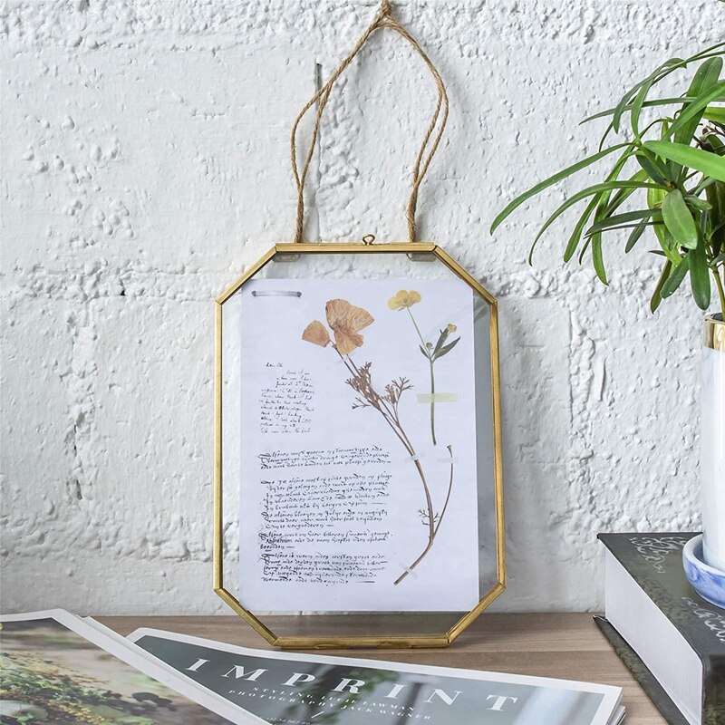 Wall-Mounted Octagonal Herb Museum Brass Glass Fra... – Grandado