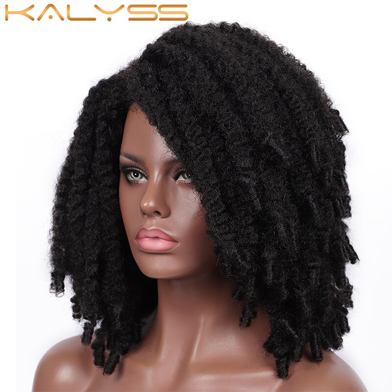 Kalyss 10" Fully Braided Lace Wigs Side Lace Parte... – Grandado