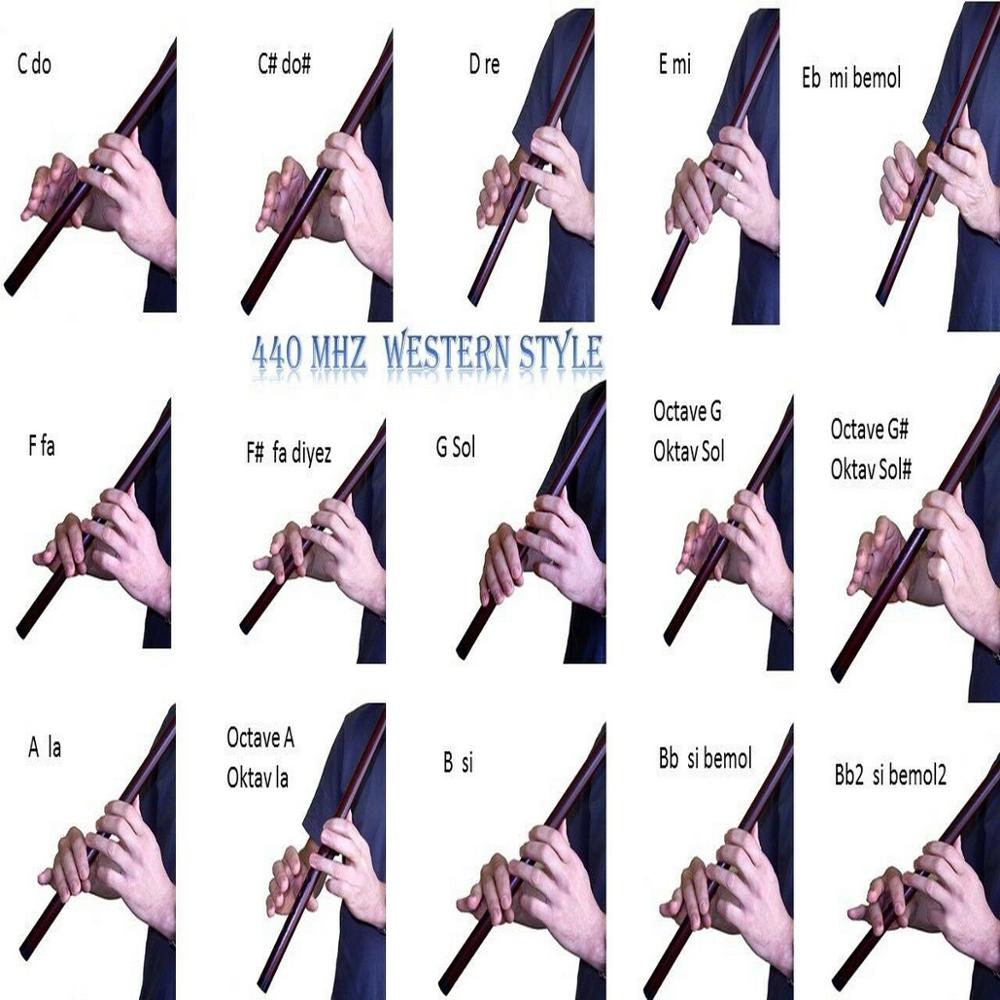 Turkish Woodwind Musical Instrument Plastic Made K... – Vicedeal