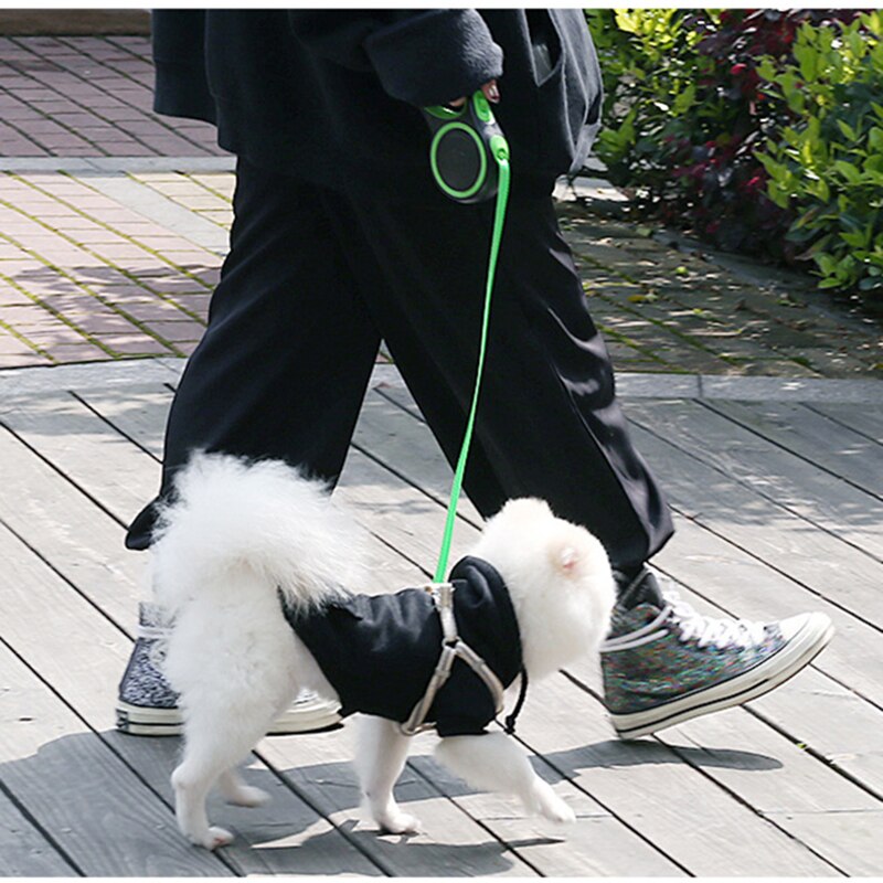 3-8M Automatic Extending Dog Leash For Large Dogs ... – Grandado