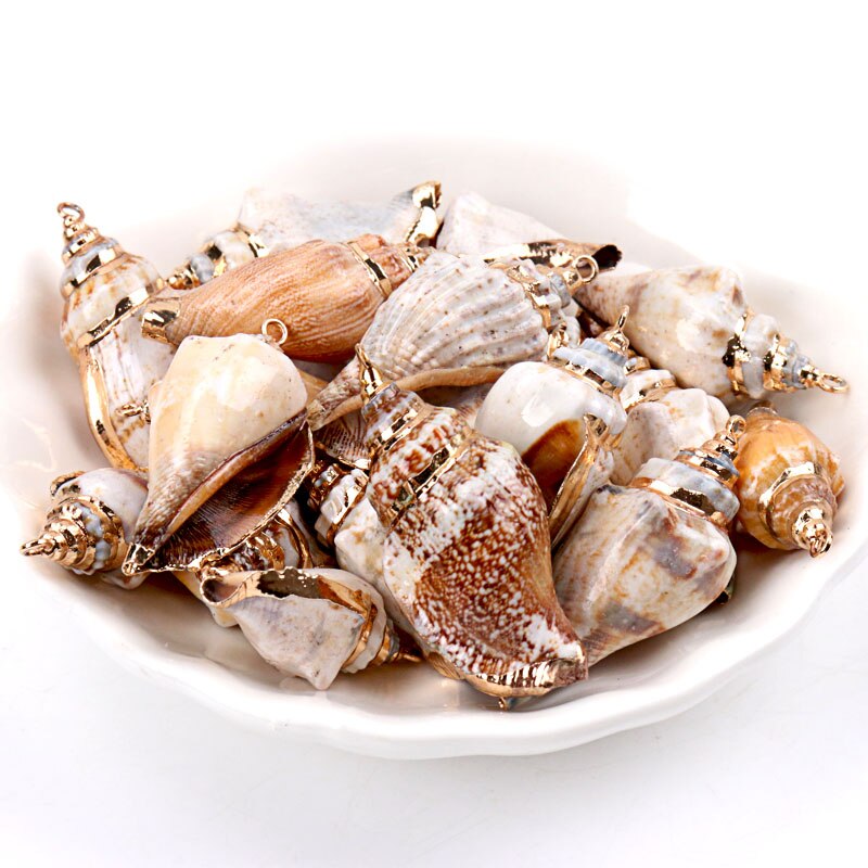 plating Spiral Cut Shell For Scrapbook Craft DIY H... – Grandado