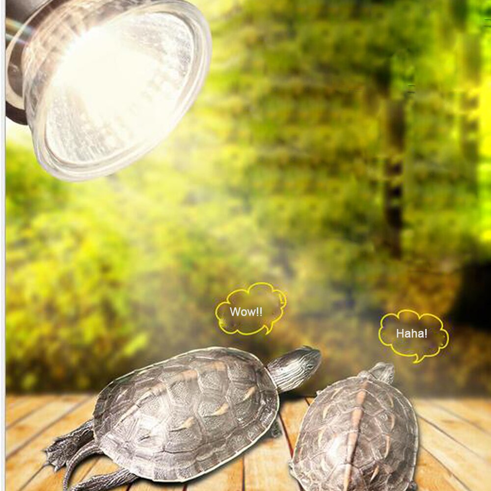 3Pcs UVA+UVB 3.0 Reptile Lamp Turtle Basking UV Li... – Grandado