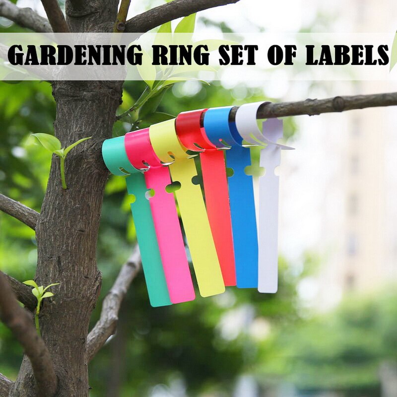 100Pcs PVC Gardening Garden Hang Tag Label Hanging... – Vicedeal