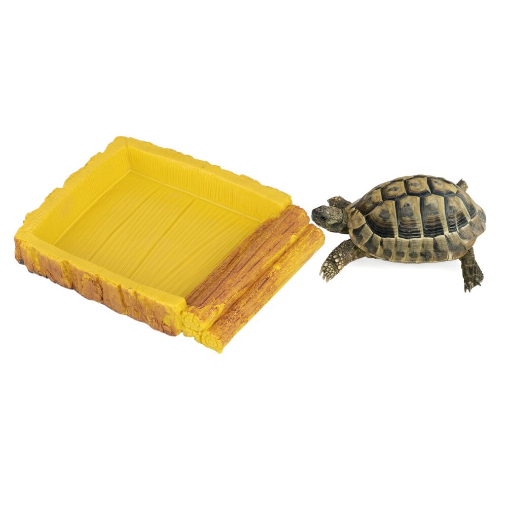 1PC Lizard Turtle Reptile Pet Food Bowl Water Tray... – Vicedeal