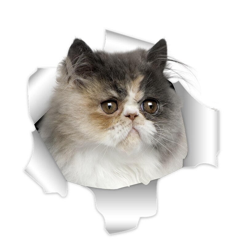Drie Ratels 3D Staffordshire Terrier Kat Stickers ... – Vicedeal