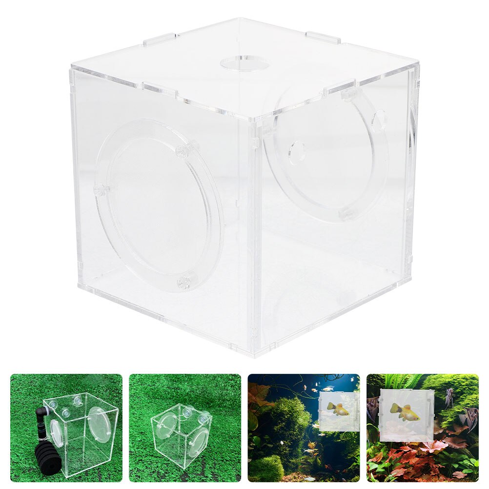 Fish Breeding Box Fish Hatchery Isolation Box Fish... – Grandado