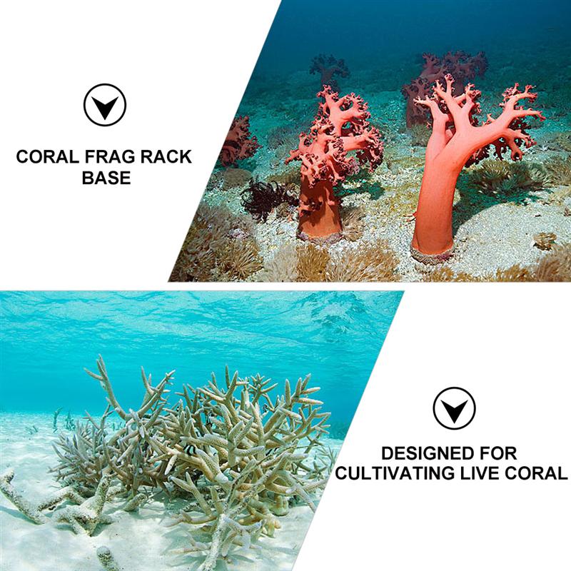 20pcs Ceramic Aquarium Coral Rack Base Coral Frag ... – Grandado