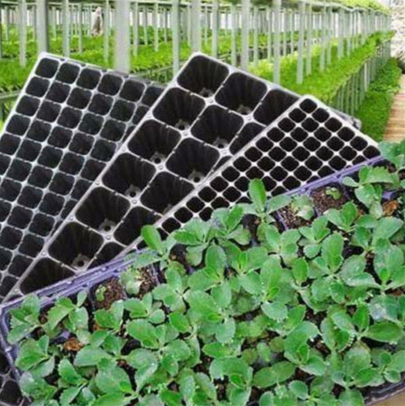 Porous Seedling Tray Sprout Nursery Tray Vegetable... – Grandado