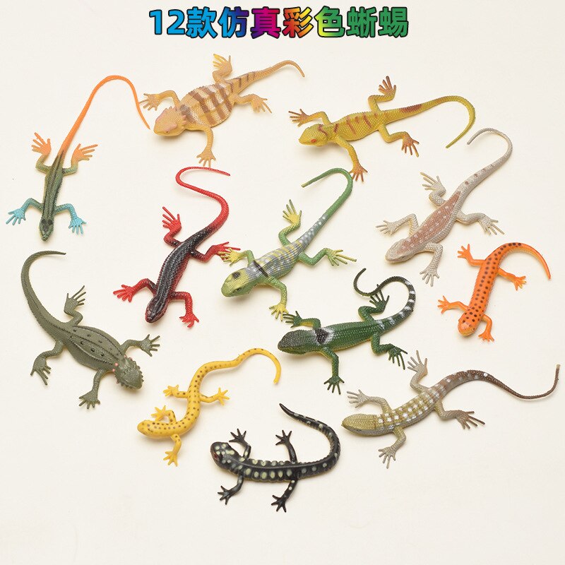 12 simulation lizard toys color crawling four-legg... – Grandado
