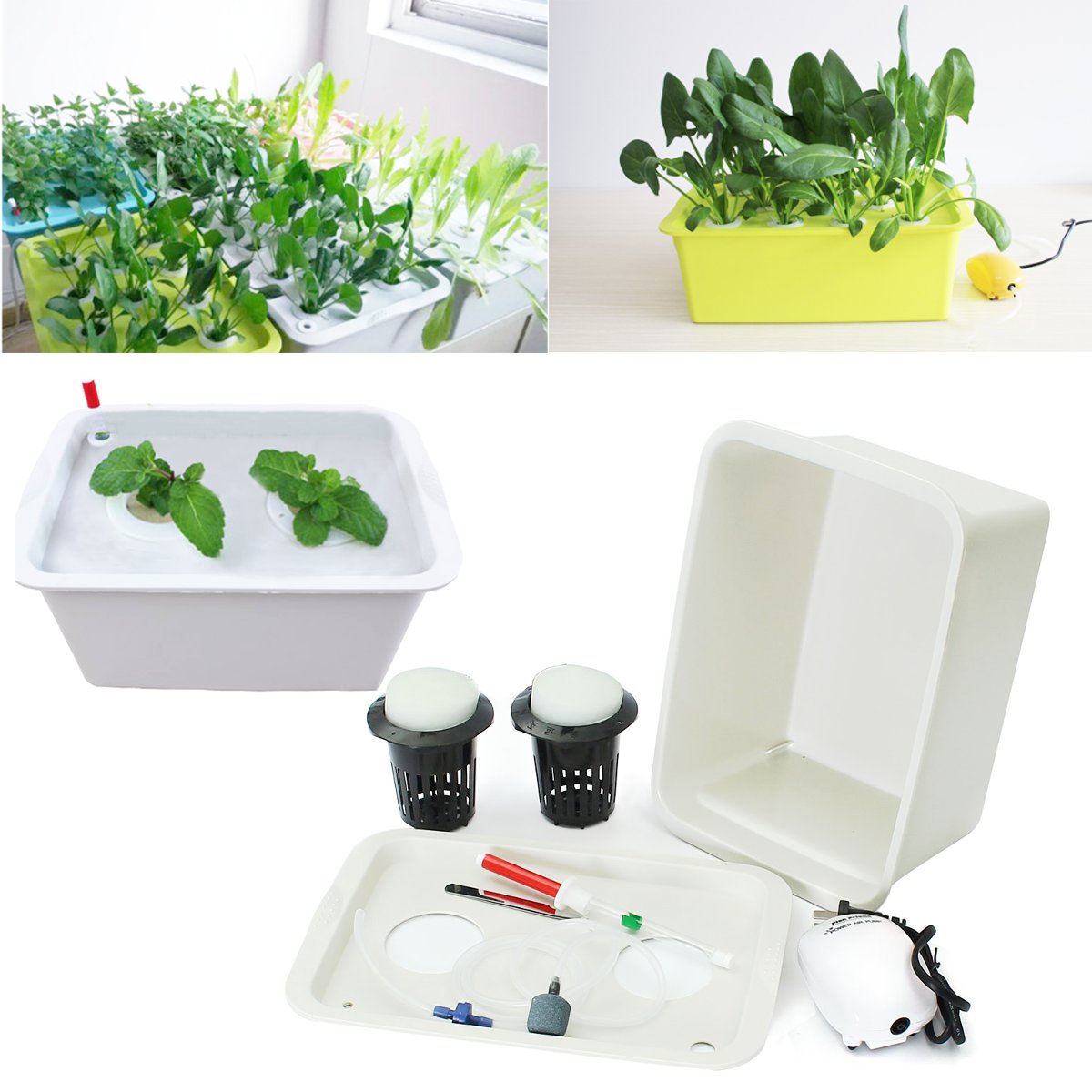220V Plant Site Hydrocultuur Systeem 2 Gaten Indoo... – Grandado