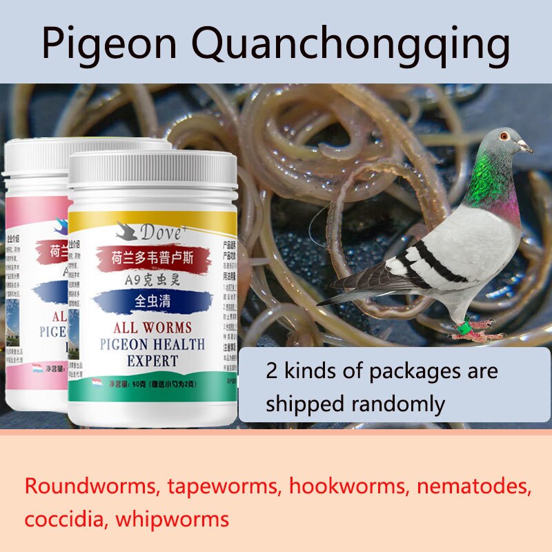 Pigeon Roundworm Tapeworm Nematode Body Worm Birds... – Vicedeal