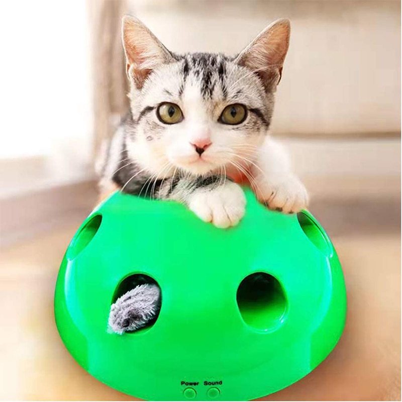 Electric Pet Funny Cat Tray Training Toy Cat Scrat... – Grandado