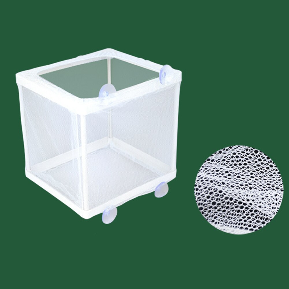 Breeder Plastic Incubator Larvae Isolation Breedin... – Vicedeal