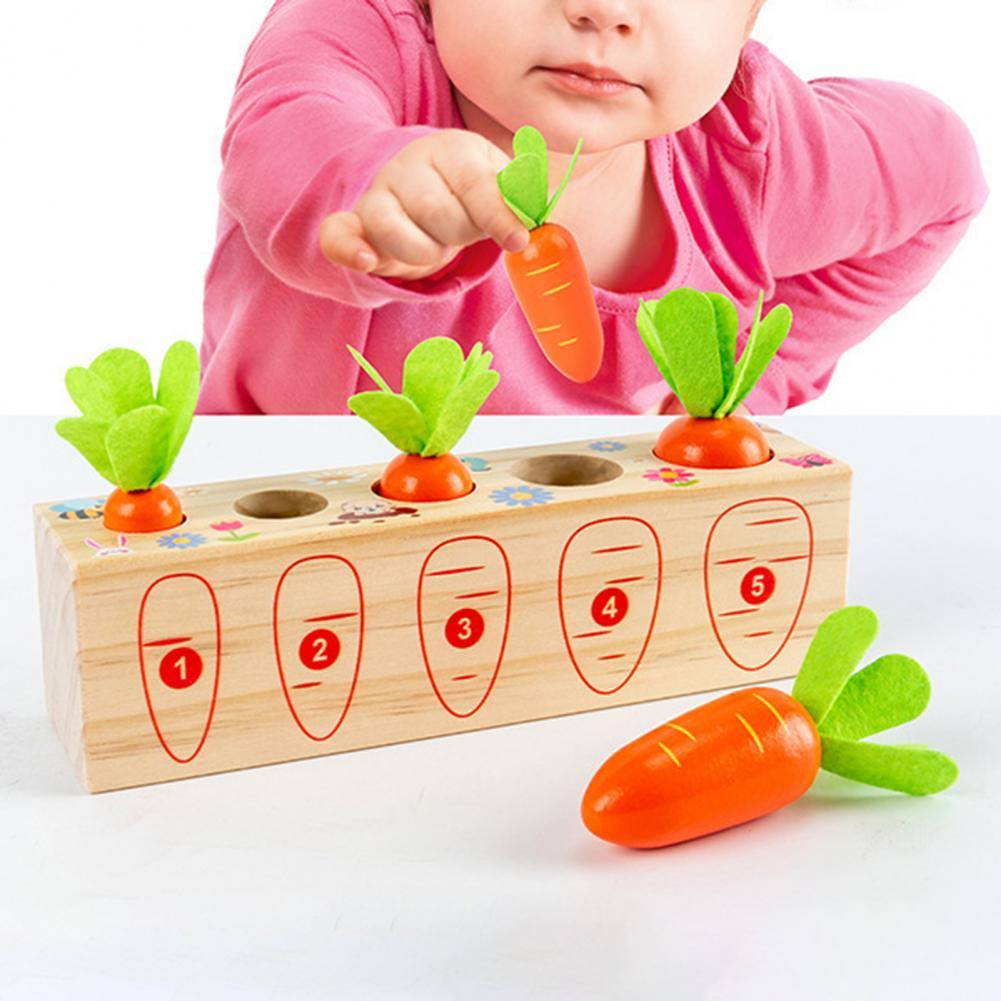 Cartoon Carrot Math Learning Children Early Educat... – Vicedeal