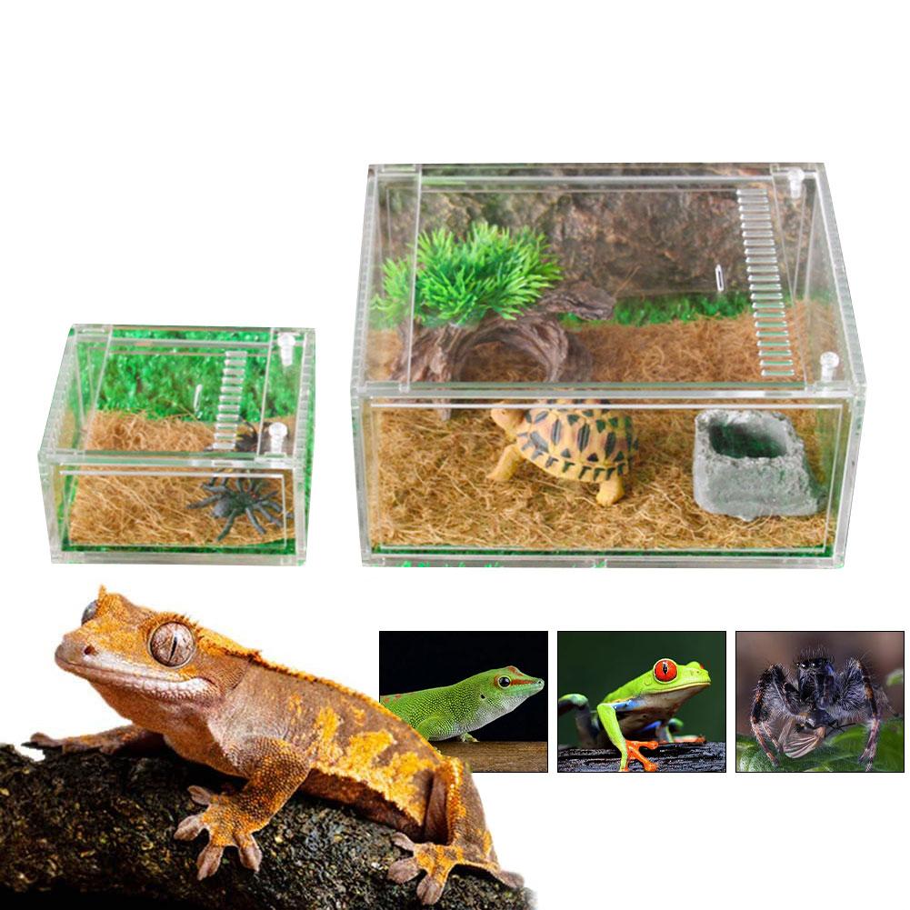Reptile Tank Insect Spiders Tortoise Lizard Acryli... – Grandado