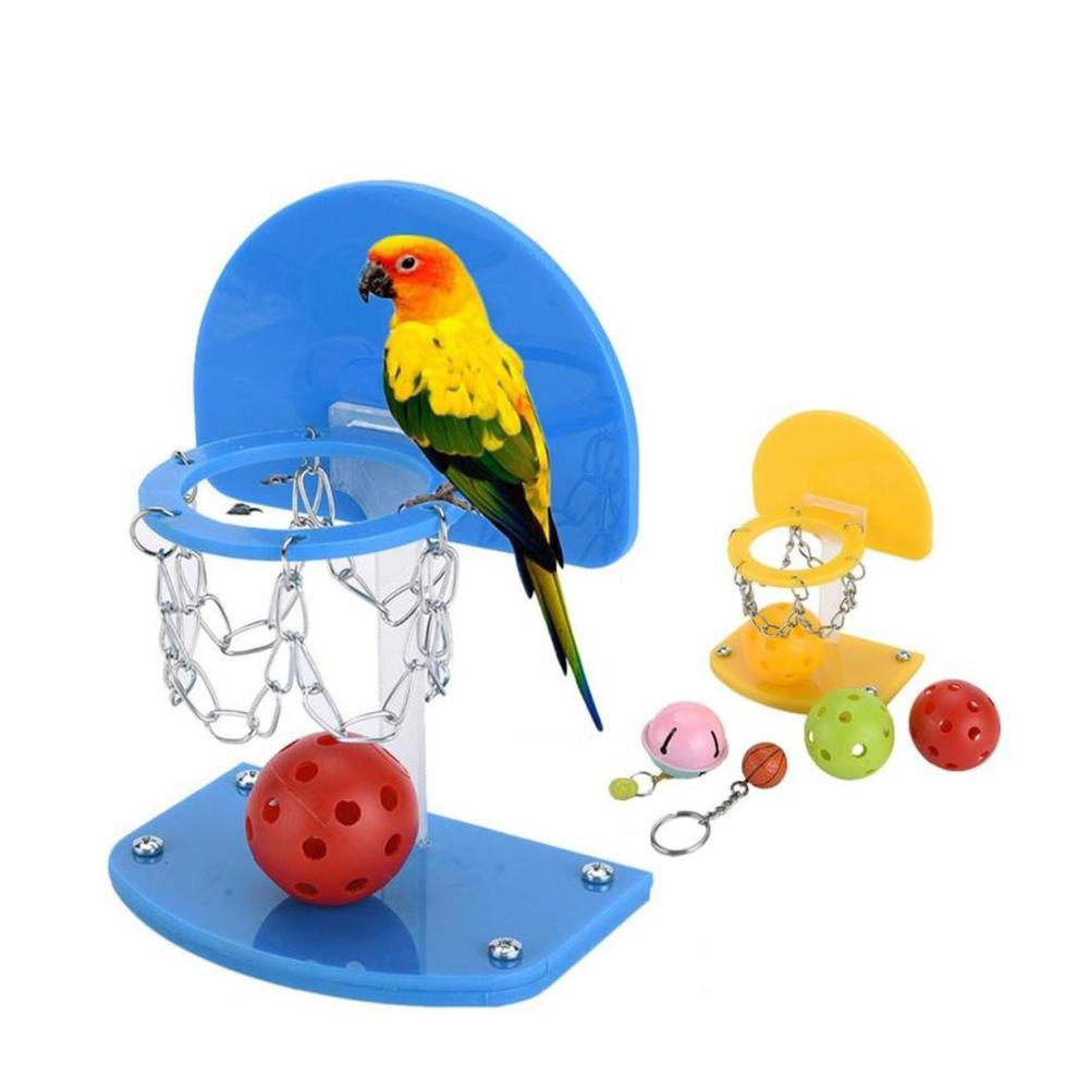 Mini Basketball Stands Hoop Pet Bird Parrot Toys P... – Grandado