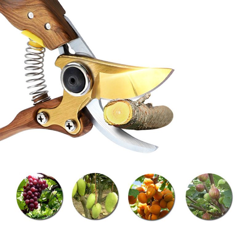 SK5 Steel Garden Shears Beak Shape Pruner Portable... – Grandado