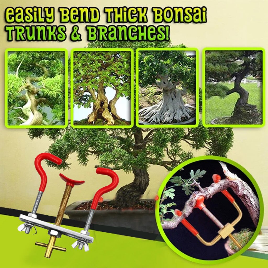 Bonsai Bender Boomtak Kofferbak Bender Tuinieren B... – Grandado