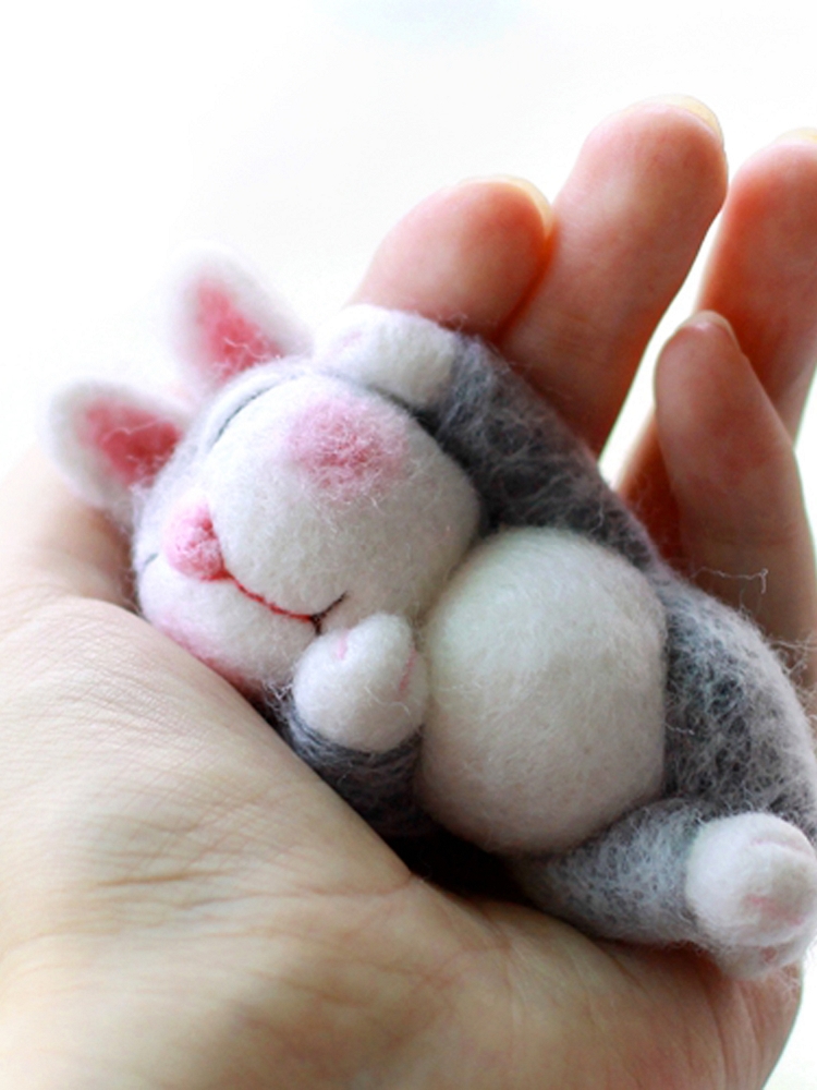 Mini Sleeping Rabbit Needle Felting Kits for Begin... – Vicedeal