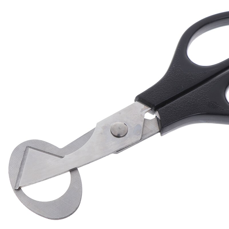 Kwartel Ei Cutter Duif Opener Vogel Tool Cracker B... – Grandado