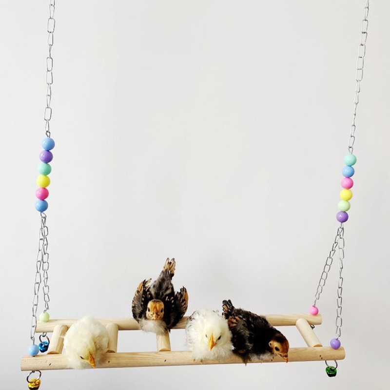 Chicken Ladder Swing Perch Handmade Coop Chicks Ro... – Grandado