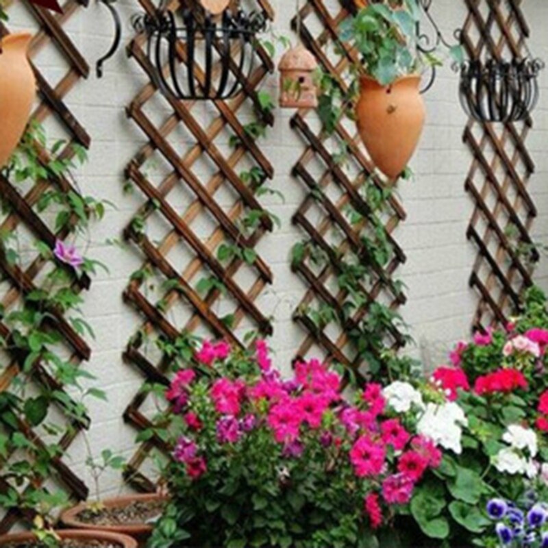 -Expanding Wood Garden Wall Fence Panel Plant Clim... – Grandado