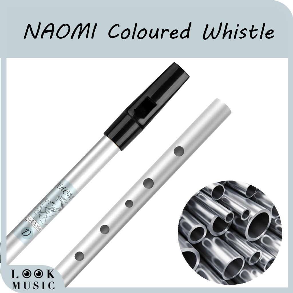 NAOMI High D Irish Whistle D Key Irish Tin Whistle... – Vicedeal