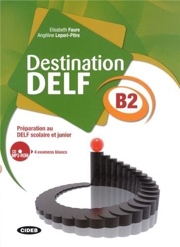 BLACK CAT DESTINATION DELF B2 + CDR Delf BLACK CAT – Vicedeal