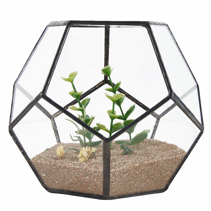 Black Glass Pentagon Geometric Terrarium Container... – Grandado