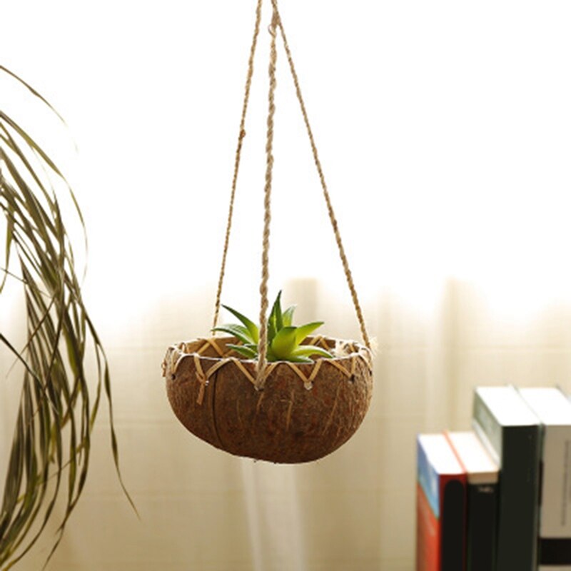 Coconut Shell Succulent Planter Pot Bonsai Flowerp... – Grandado